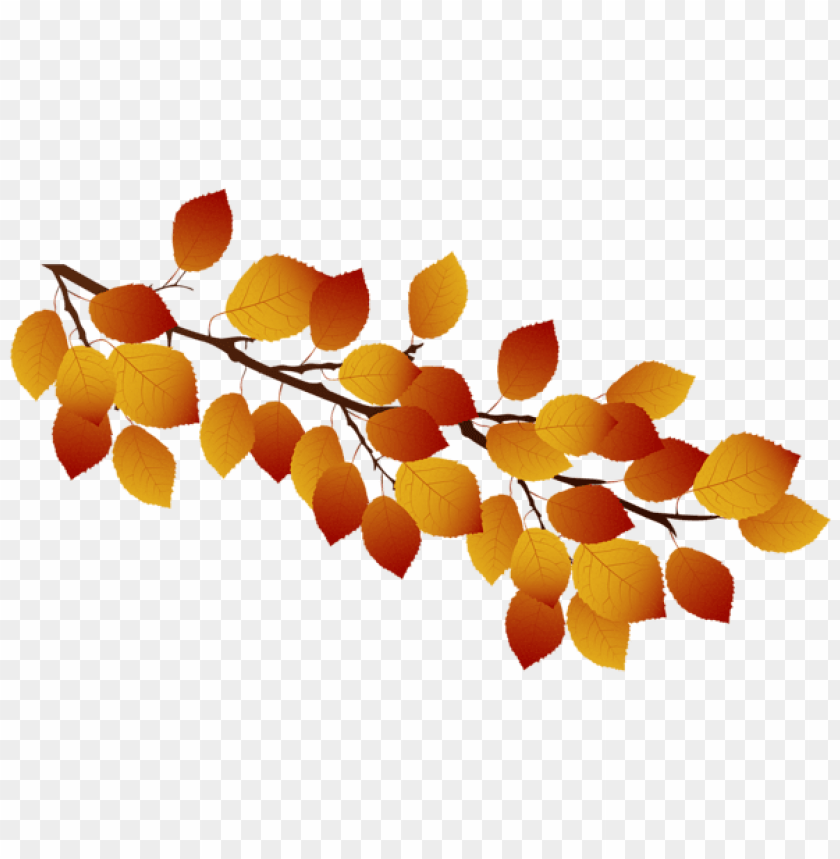 Free download | HD PNG autumn branch clipart png photo - 55872 | TOPpng