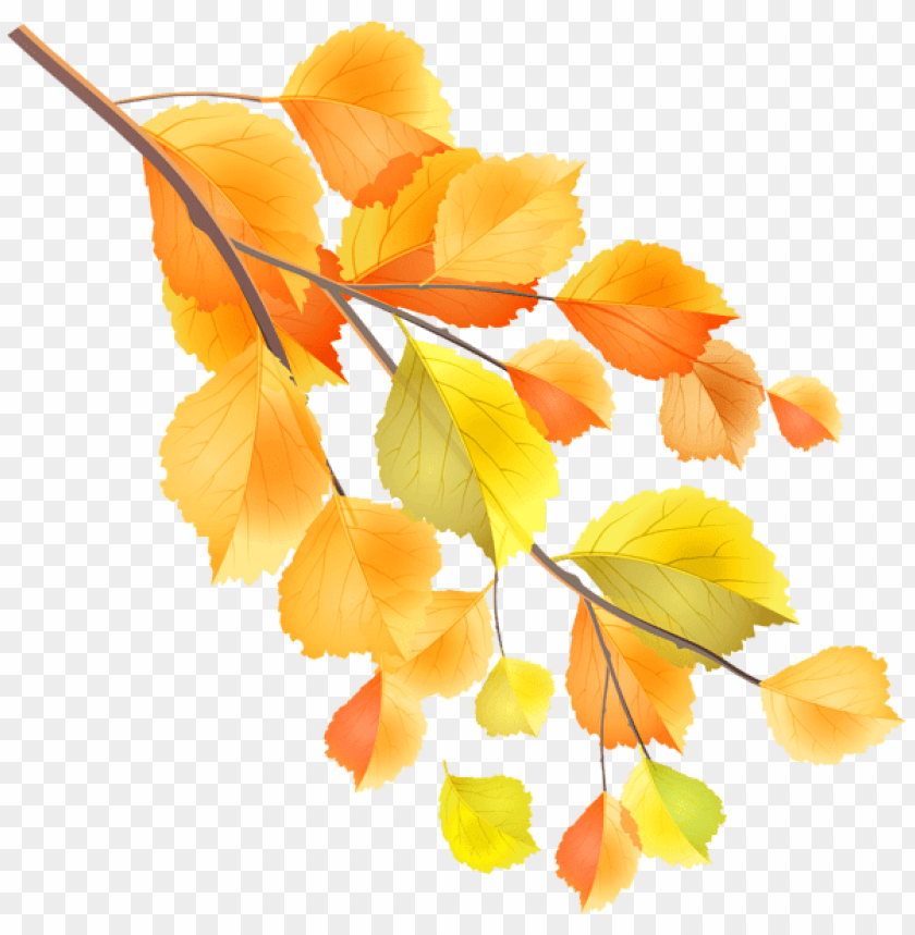 Free download | HD PNG autumn branch clipart png photo - 55873 | TOPpng