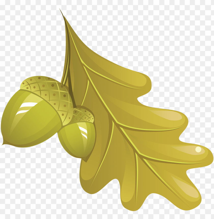 Free download | HD PNG green acorn branch with leaves png clipart png ...