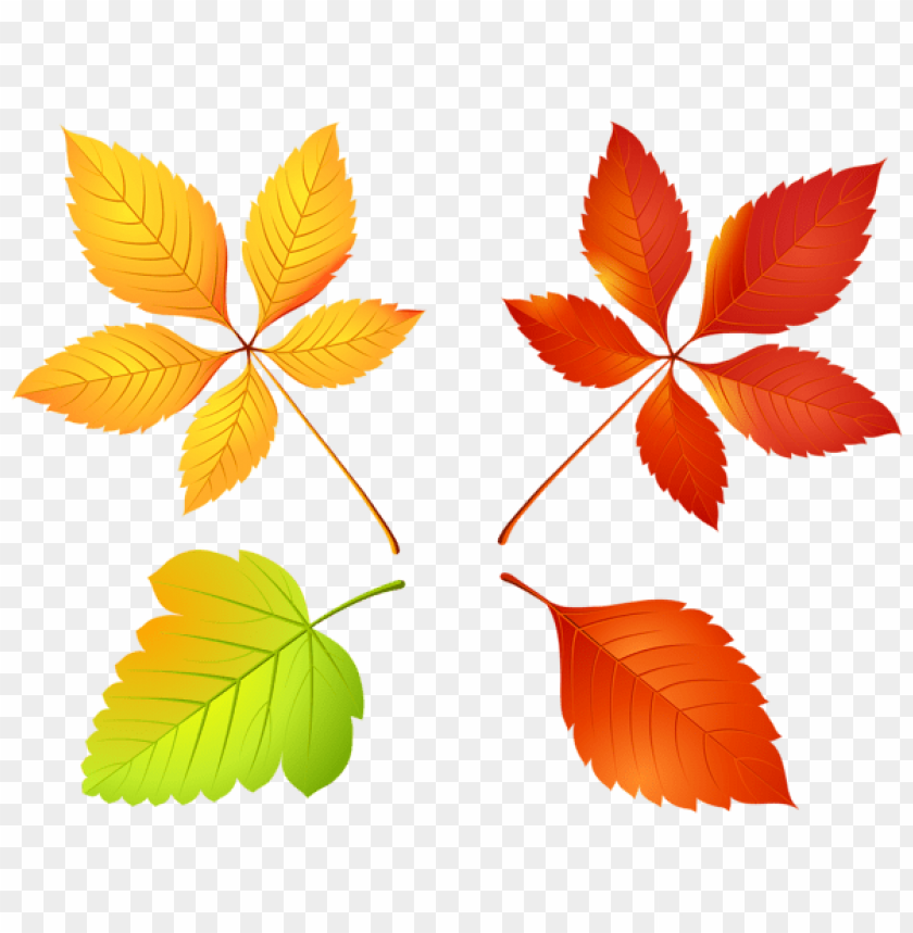 Free download | HD PNG autumn leaves set clipart png photo - 54999 | TOPpng