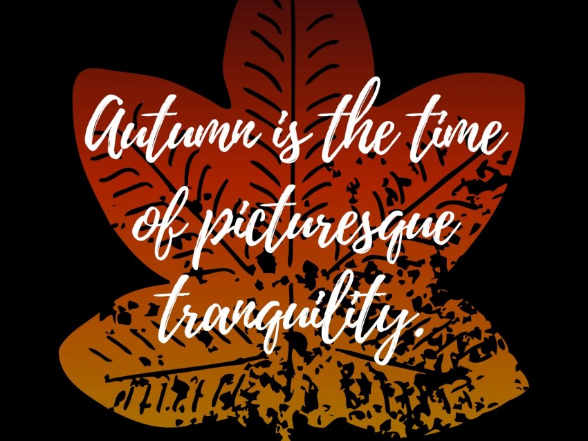 Free download | HD PNG autumn tranquility quote inscription leaf 4k ...