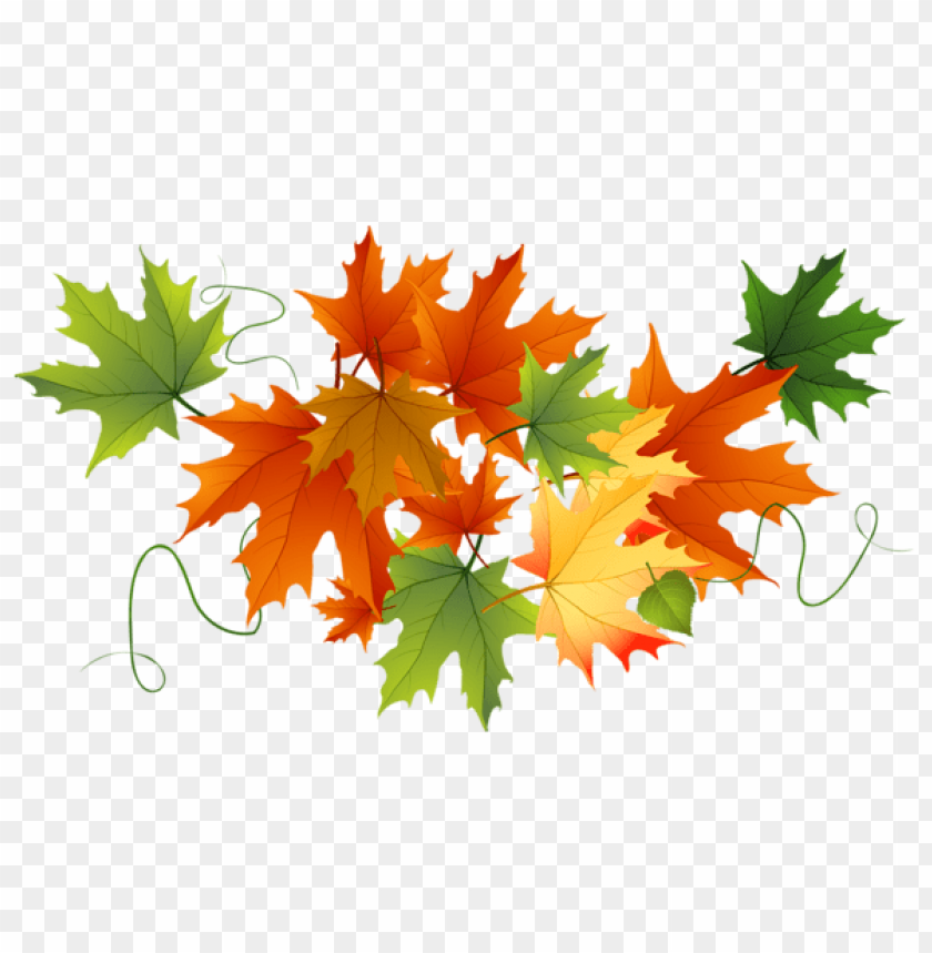 Free download | HD PNG autumn transparent leaves clipart png photo ...