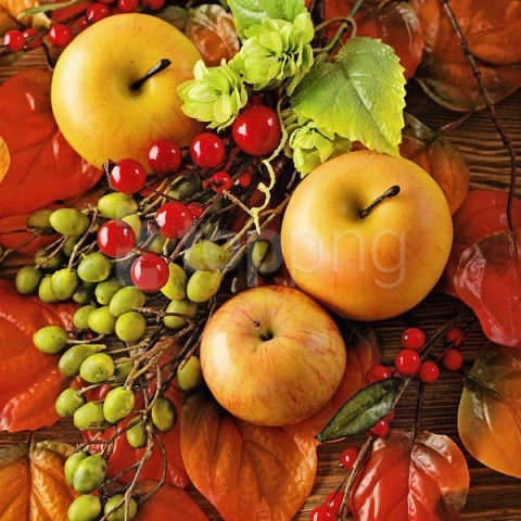 Free download | HD PNG bountiful autumn fruits spread wallpaper ...