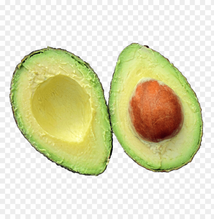 Free download | HD PNG whole and half avocado showing pit png PNG ...