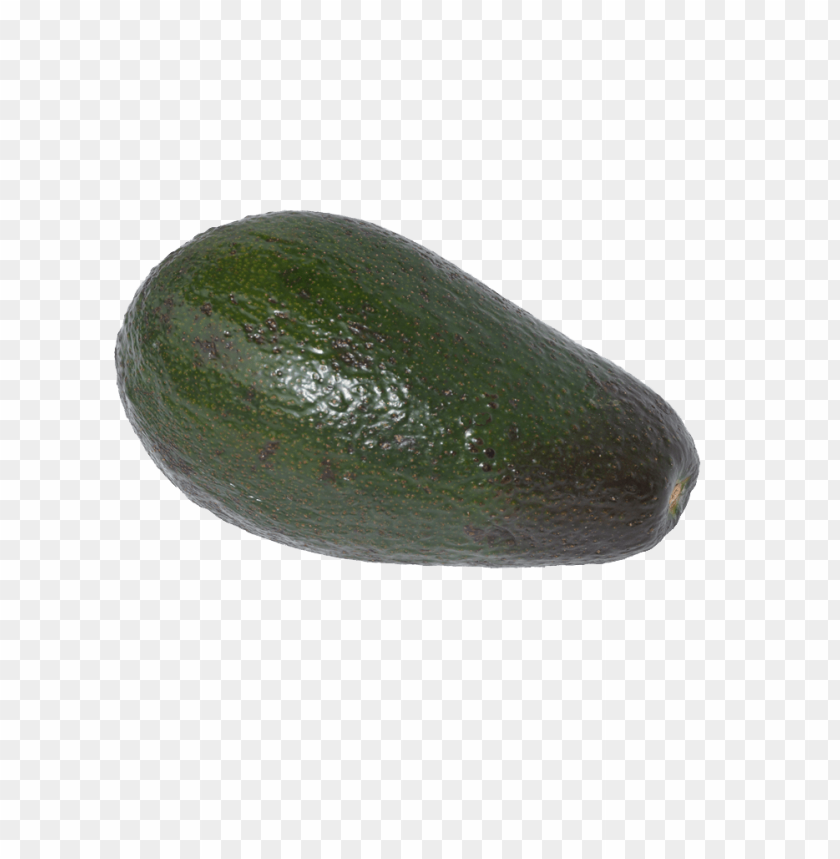Free download | HD PNG whole avocado with rough skin png PNG images ...