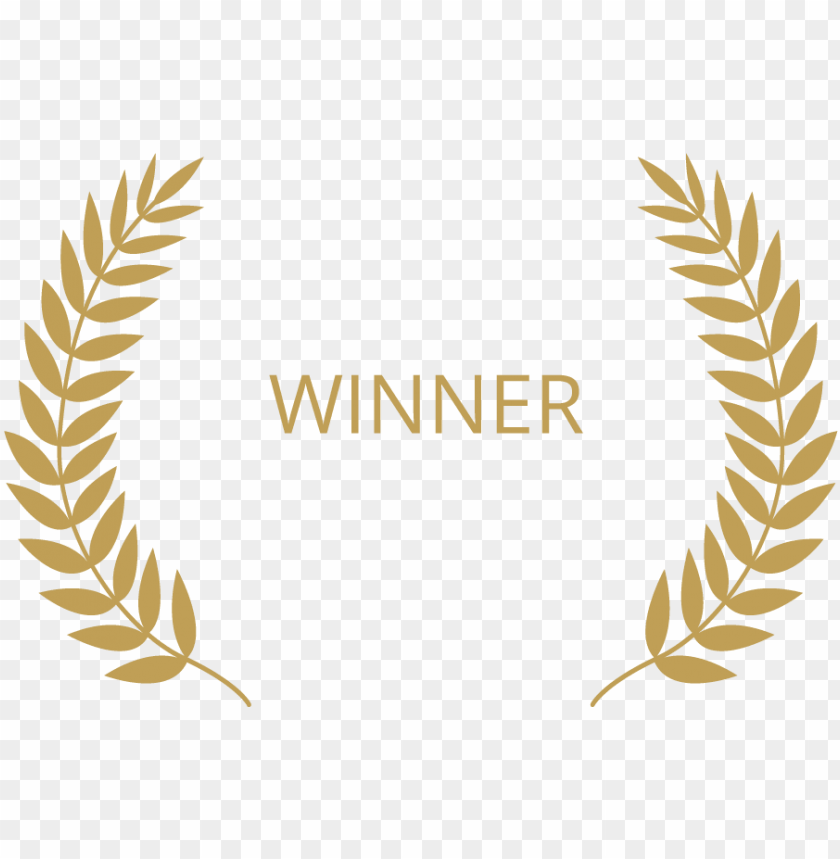 Free download | HD PNG award winning png transparent image bs grou PNG ...
