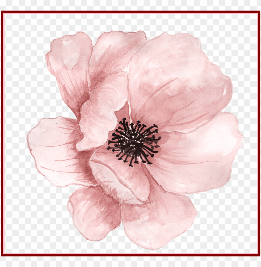Free download | HD PNG awesome flower watercolor painting clip art pink ...