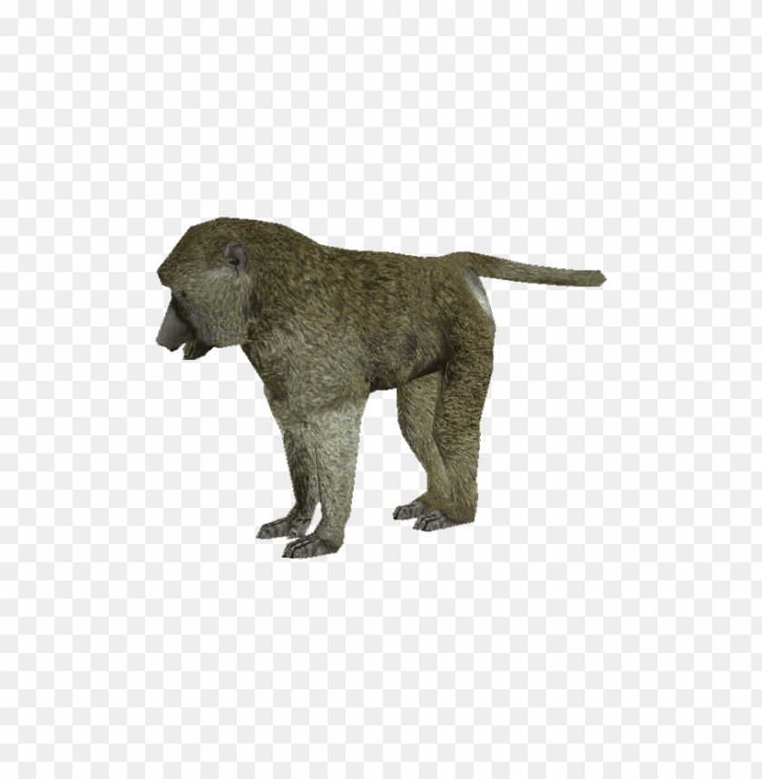 Free download | HD PNG baboon png images background - Image ID 36037 ...