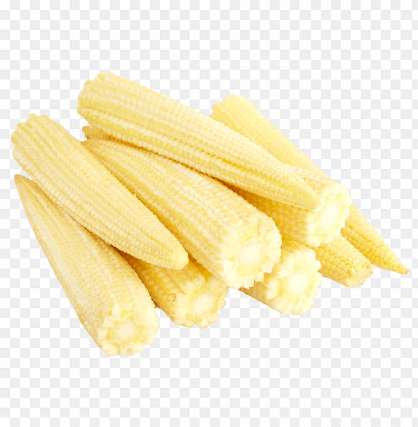 Free download | HD PNG baby corn cobs PNG images with transparent ...