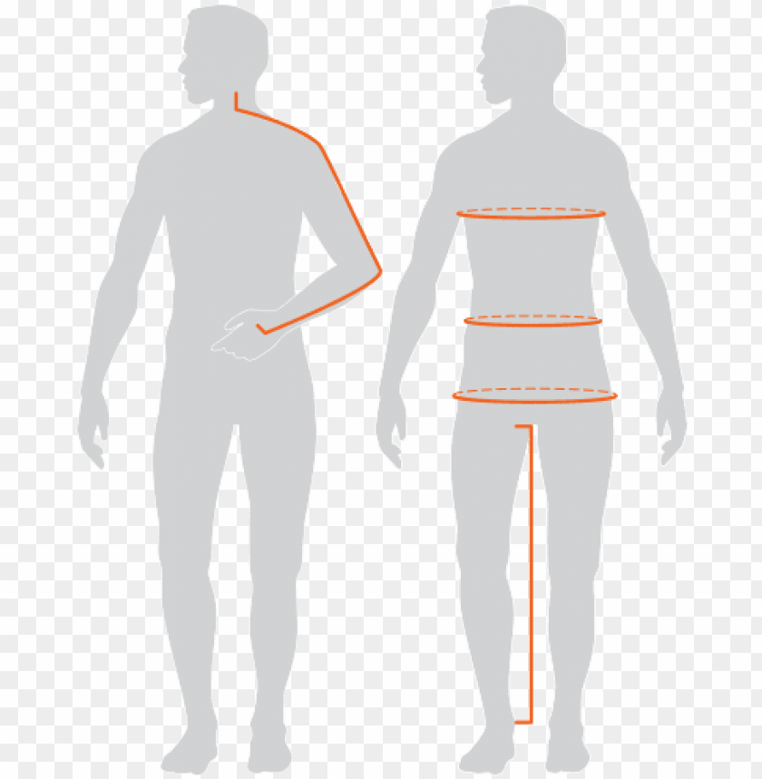 Free download | HD PNG back of hand PNG transparent with Clear ...