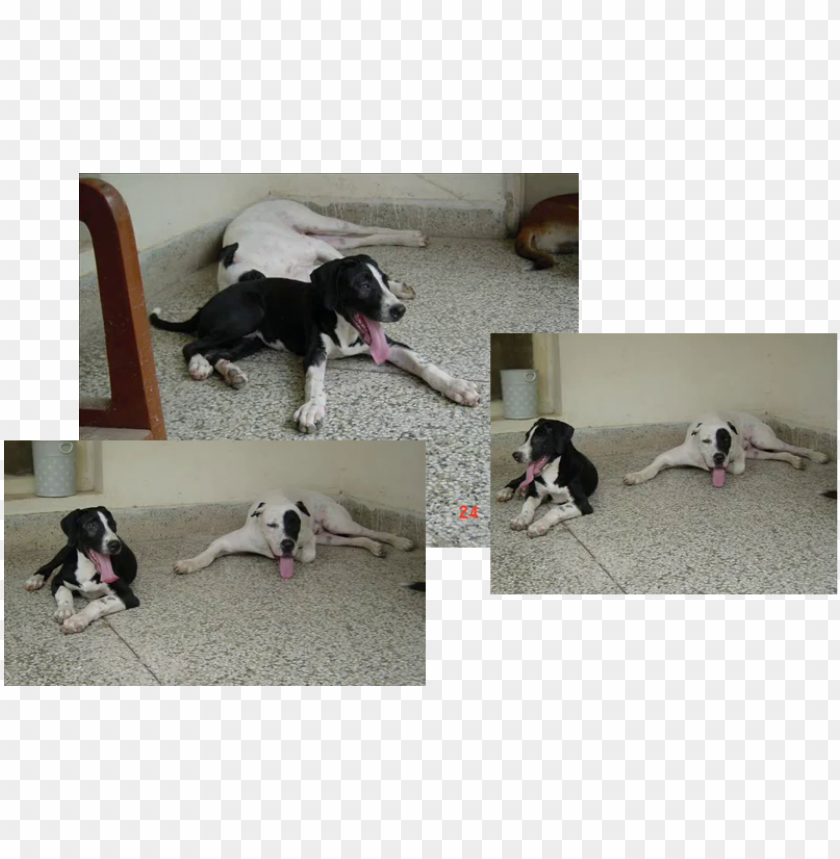 Free download | HD PNG balrog and dozer relaxing after hard exercise ...