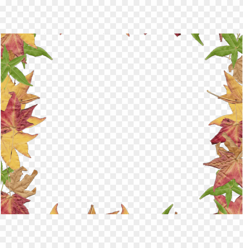 Free download | HD PNG bamboo clipart nature border design creative ...