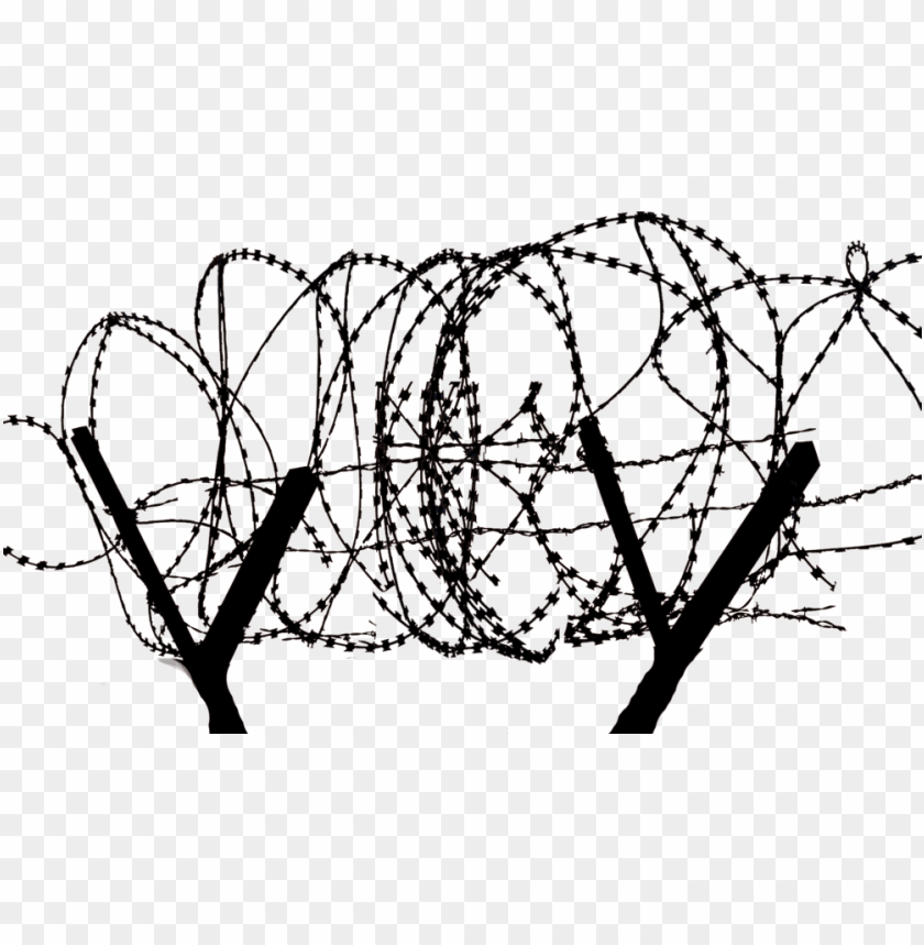 Free download | HD PNG barbed wire barbed tape concertina wire razor ...