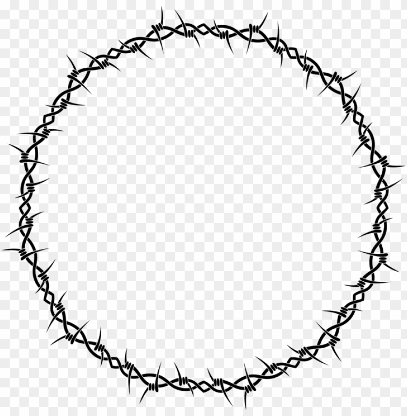 Free download | HD PNG barbed wire barbed tape fence chain barb wire ...