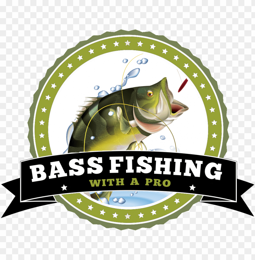 Free download | HD PNG bass fishi PNG transparent with Clear Background ...