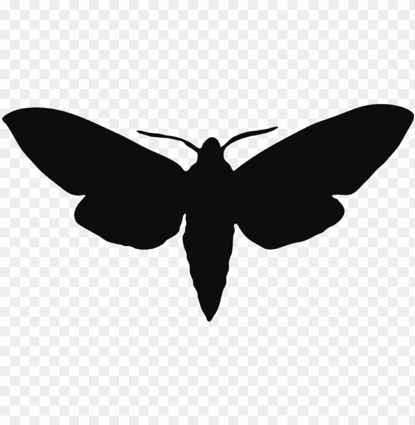 Free download | HD PNG bass transparent moth banner transparent moth ...