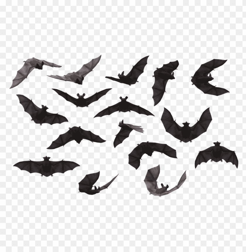 Free download | HD PNG multiple flying bats png | TOPpng