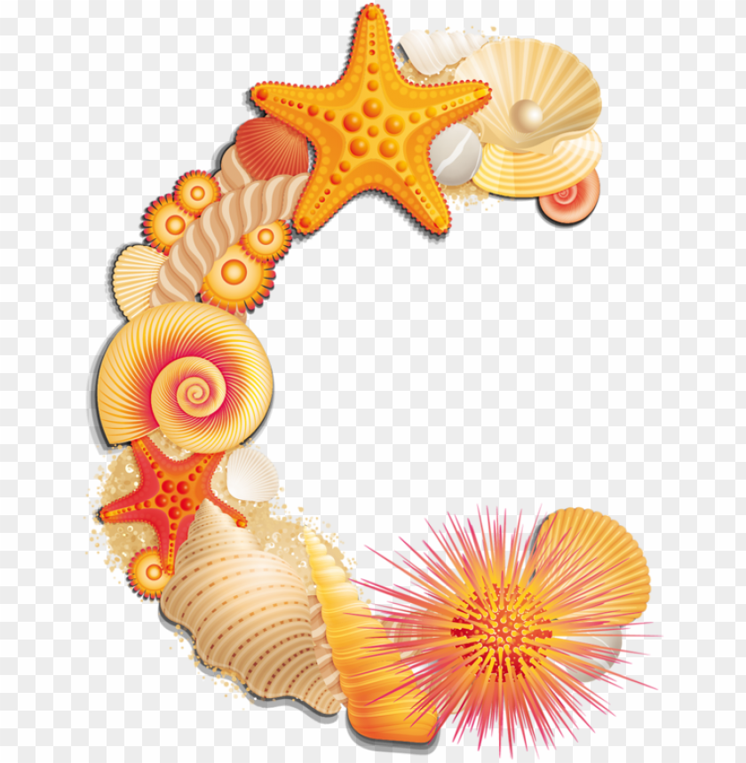 Free download | HD PNG beach letter c seashell b scrapbook alphabet PNG ...