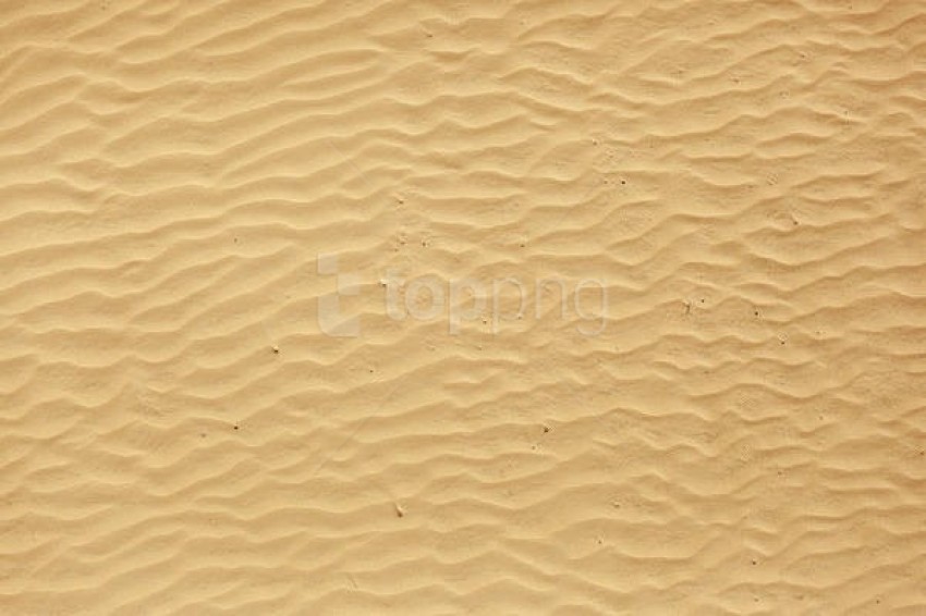 Free download | HD PNG beach sand background best stock photos - Image ...