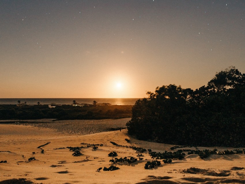 Free download | HD PNG beach sand sunset twilight sun horizon bushes 4k ...