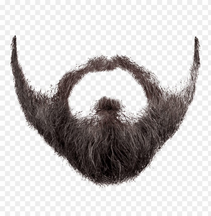 Free download | HD PNG Transparent background PNG image of beard and ...