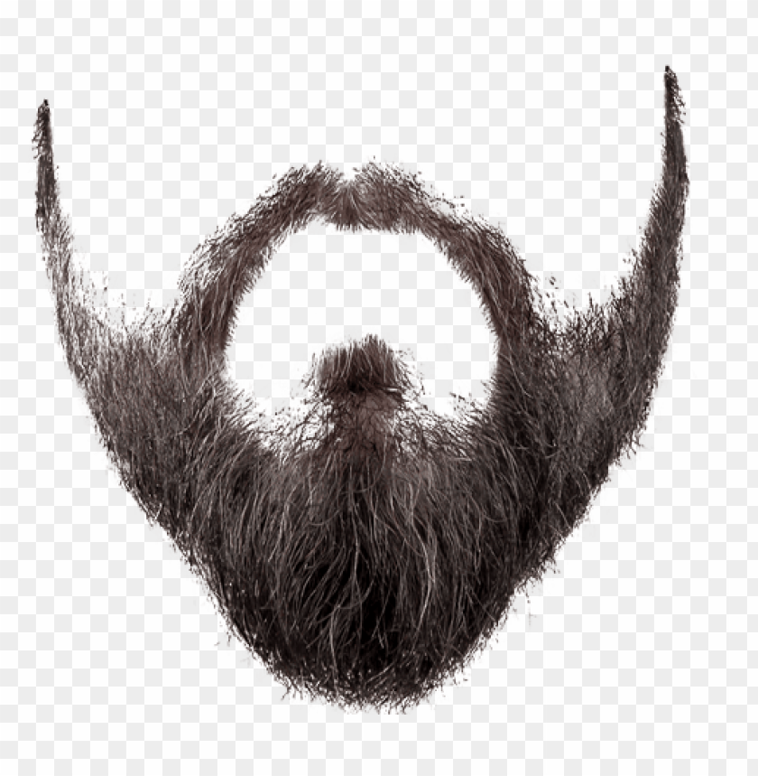 Free download | HD PNG beard styles PNG transparent with Clear ...
