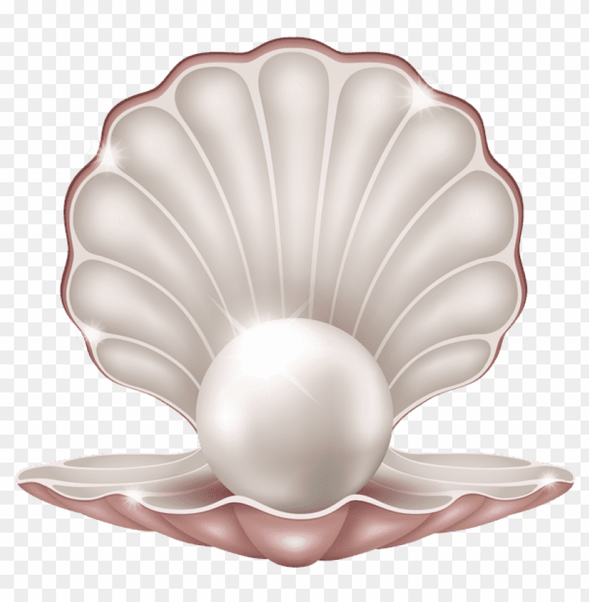 Free download | HD PNG seashell with pearl png clipart png photo ...