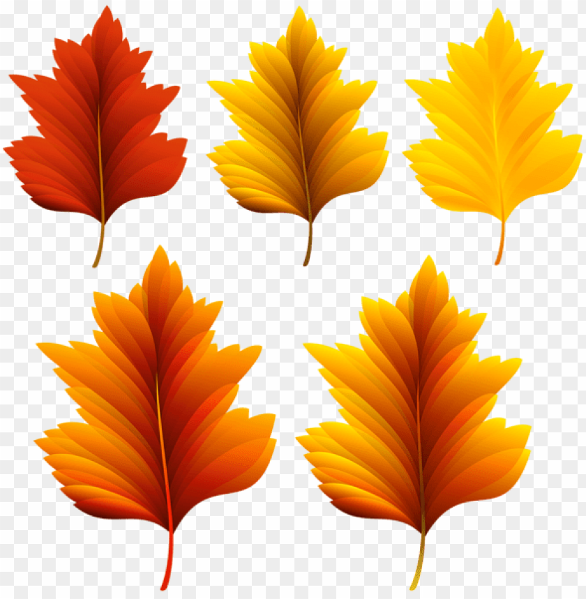 Free download | HD PNG beautiful fall leaves set clipart png photo ...