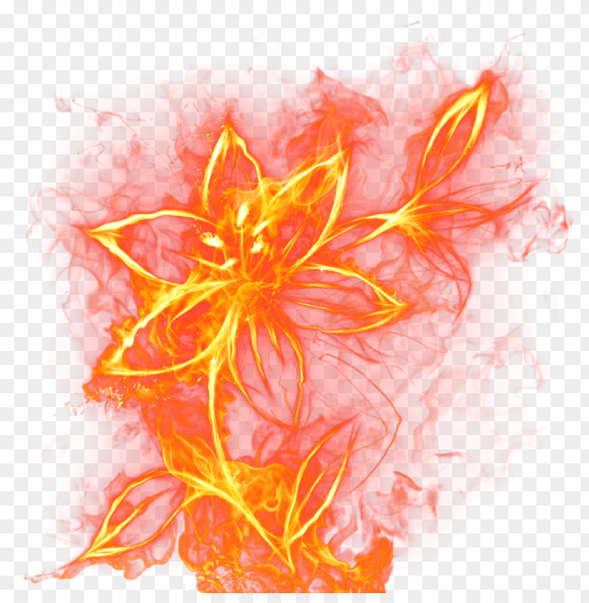 Free download | HD PNG PNG image of flaming floral artwork with glowing details with a clear ...