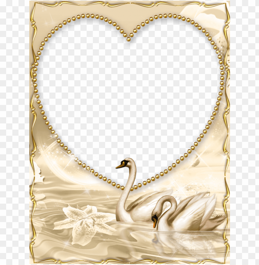 Free download | HD PNG beautiful gold borders and frames PNG ...