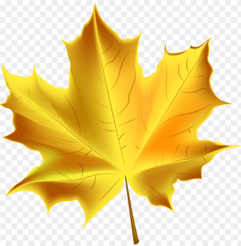 Free download | HD PNG beautiful yellow autumn leaf transparent clipart png photo - 54401 | TOPpng