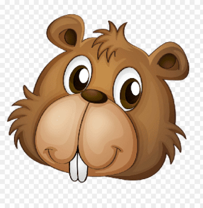 Free download | HD PNG beaver face | TOPpng