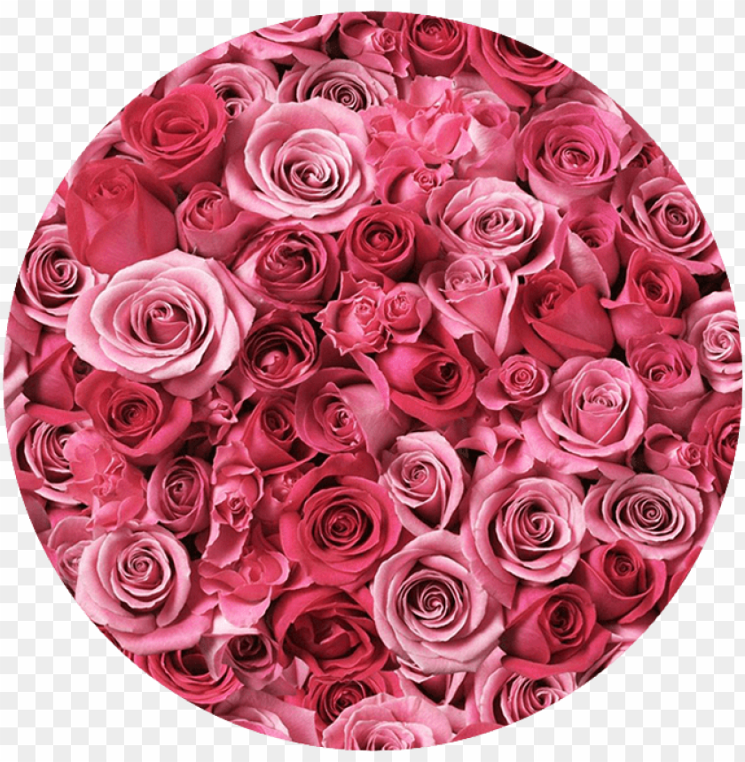 Free download | HD PNG bed of roses entertainment roses in a circle PNG ...