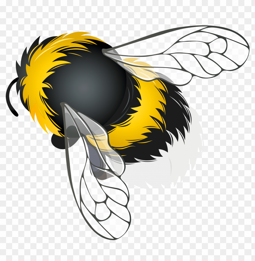 Free download | HD PNG bee clipart png photo - 31478 | TOPpng