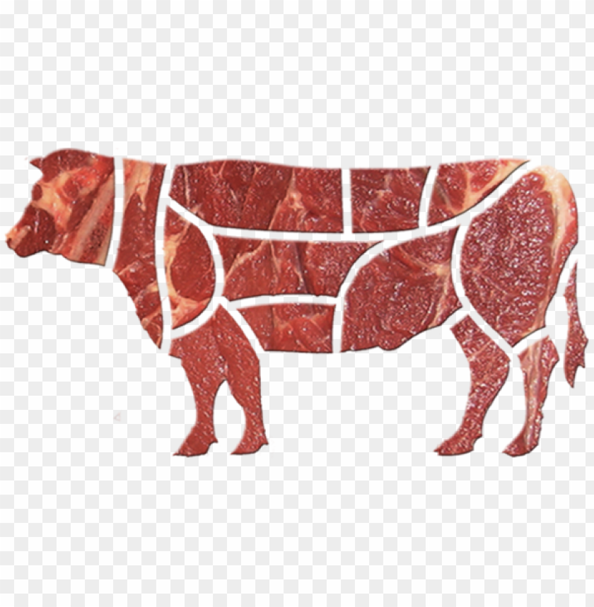 Free download | HD PNG beef cuts diagram illustration - Image ID 482174 ...