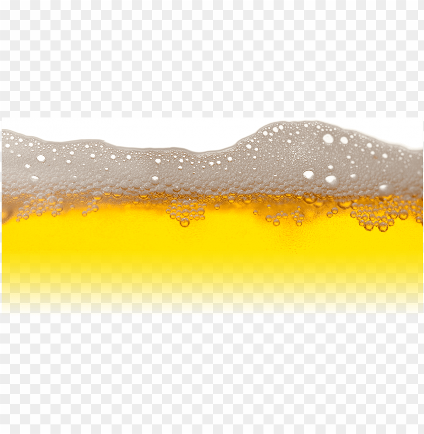 Free download | HD PNG beer froth beer image PNG transparent with Clear ...
