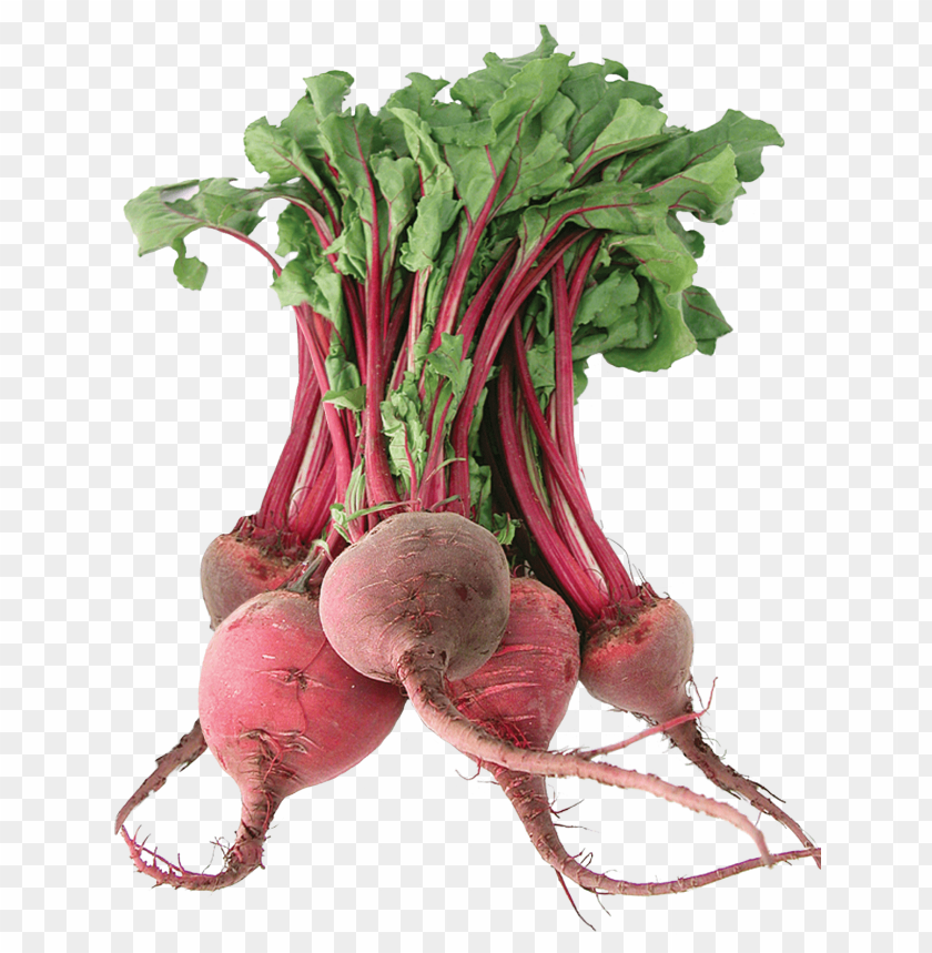 Free download | HD PNG beet PNG images with transparent backgrounds ...