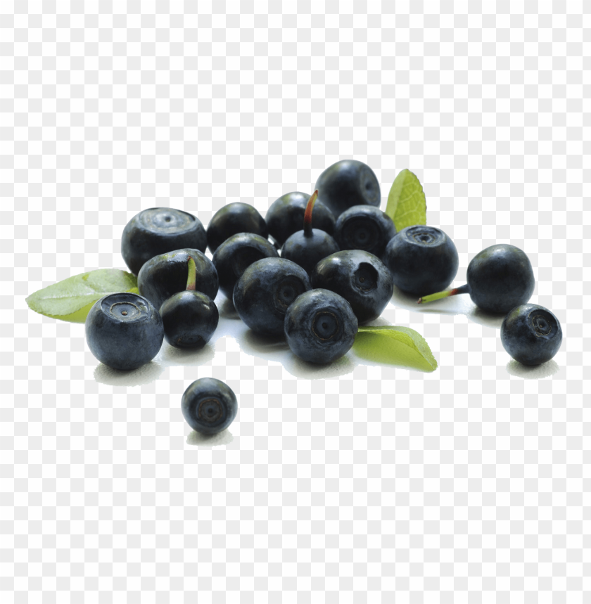 Free download | HD PNG berries png - Free PNG Images ID 6661 | TOPpng