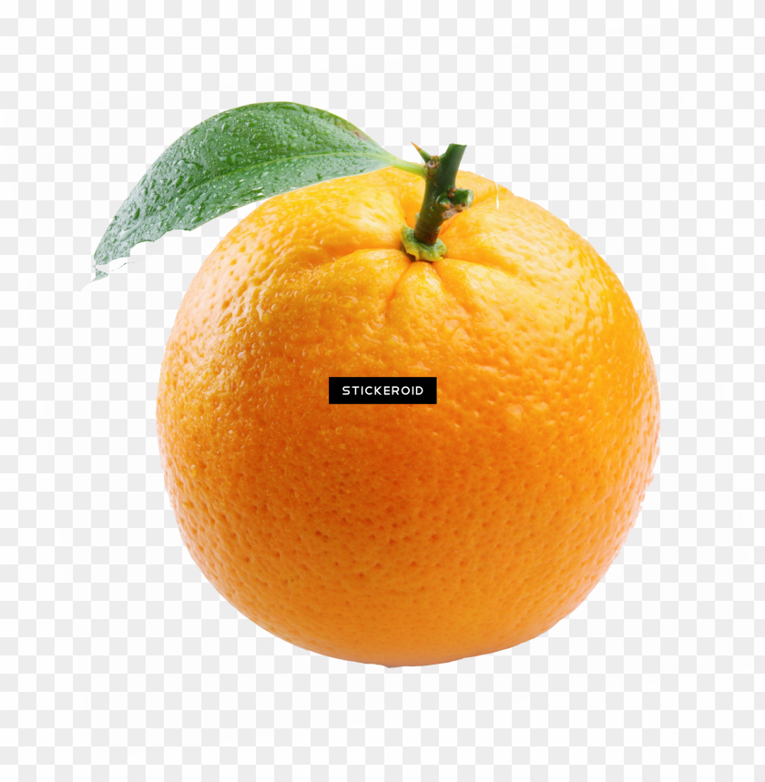 Free download | HD PNG big orange PNG transparent with Clear Background ...
