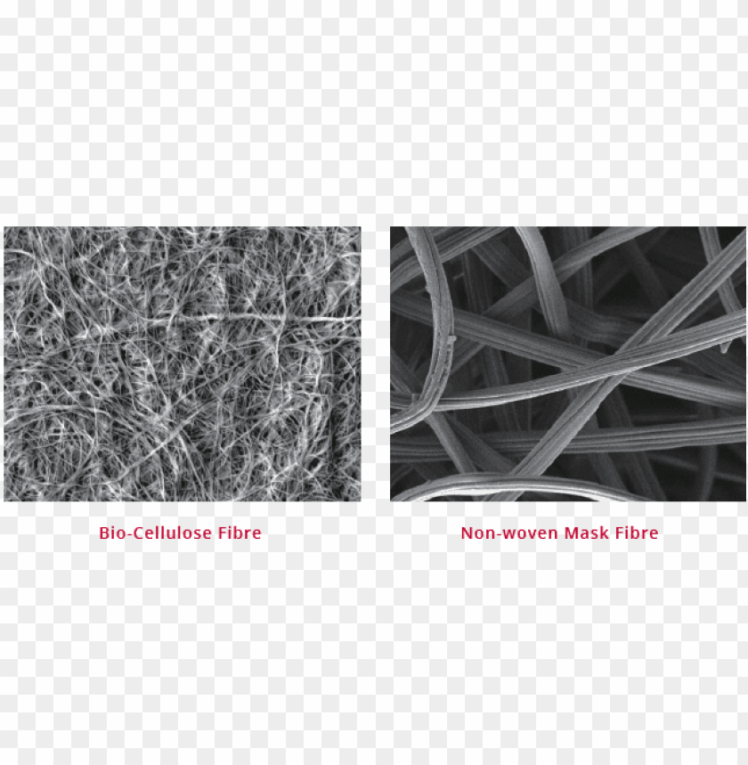 Free download | HD PNG bio cellulose fibre adheres perfectly to your ...