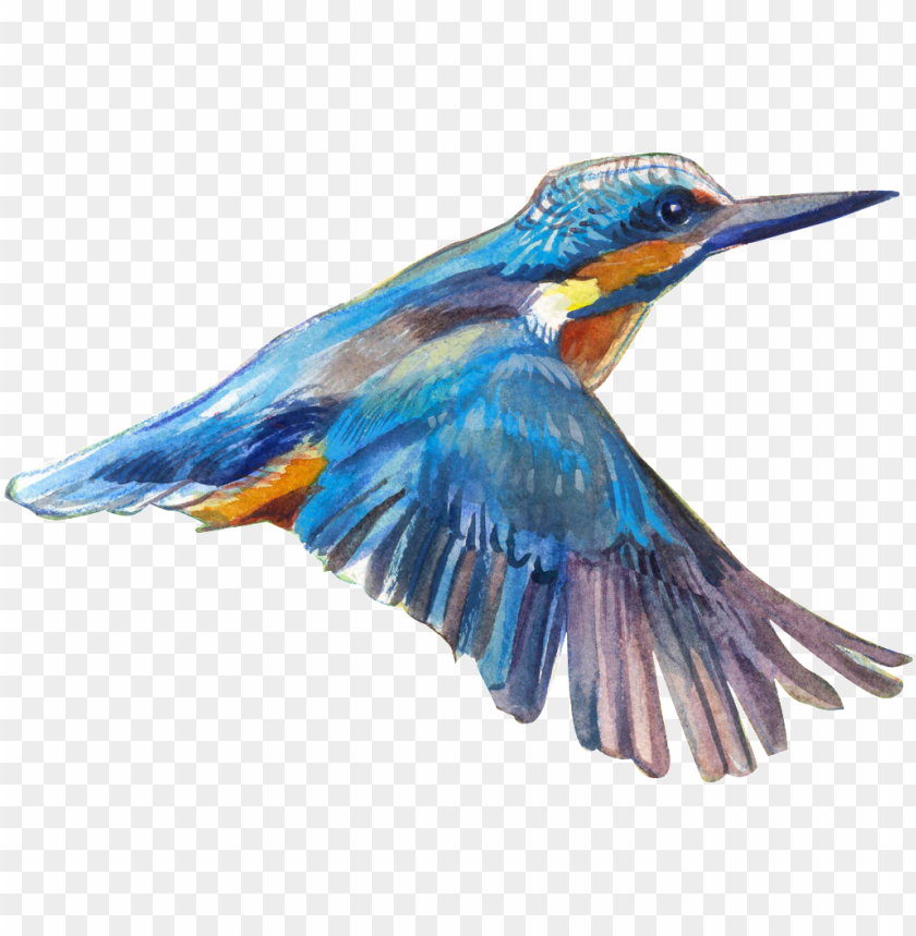 Free download | HD PNG bird PNG transparent with Clear Background ID 89181 | TOPpng