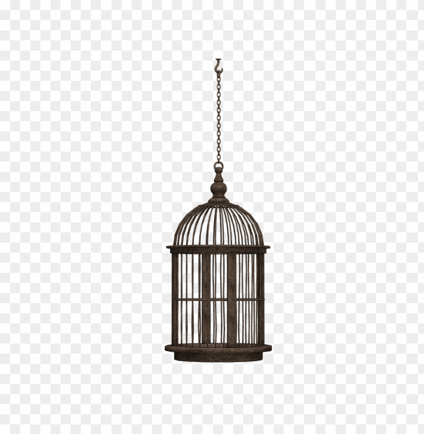Free download | HD PNG Transparent Background PNG of bird cage - Image ...