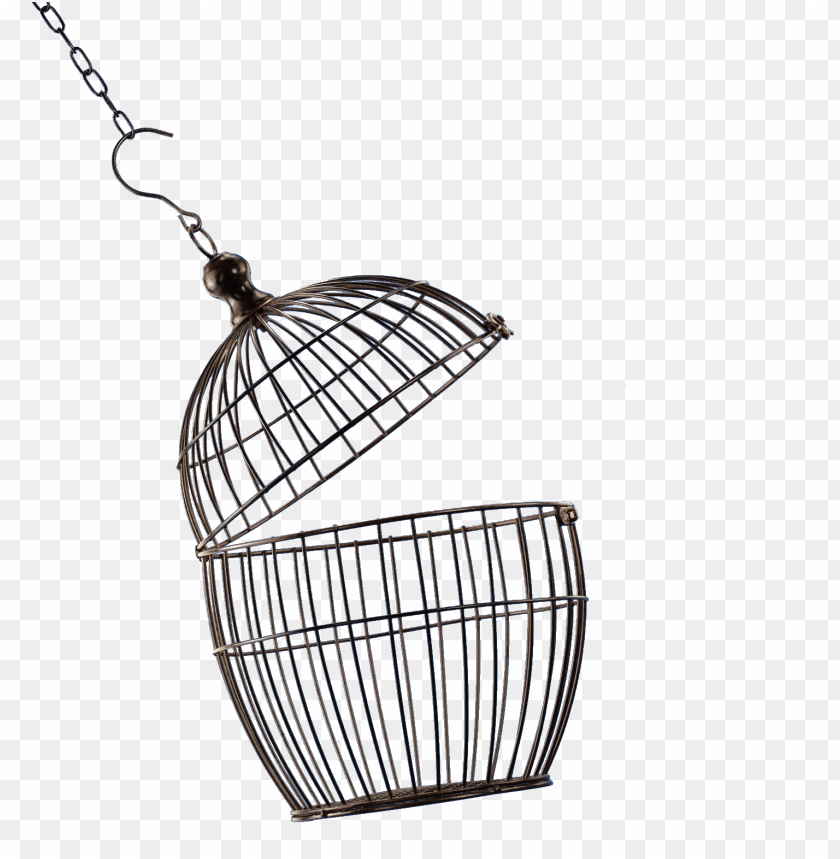 Free download | HD PNG Transparent Background PNG of bird cage - Image ...