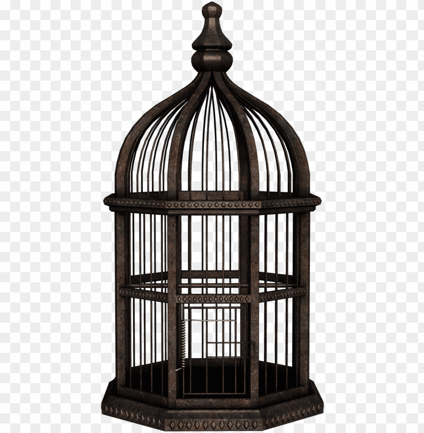 Free download | HD PNG bird cage png bird cage transparent background ...
