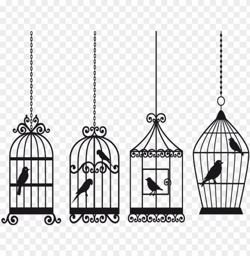 Free download | HD PNG bird cage vector PNG transparent with Clear ...