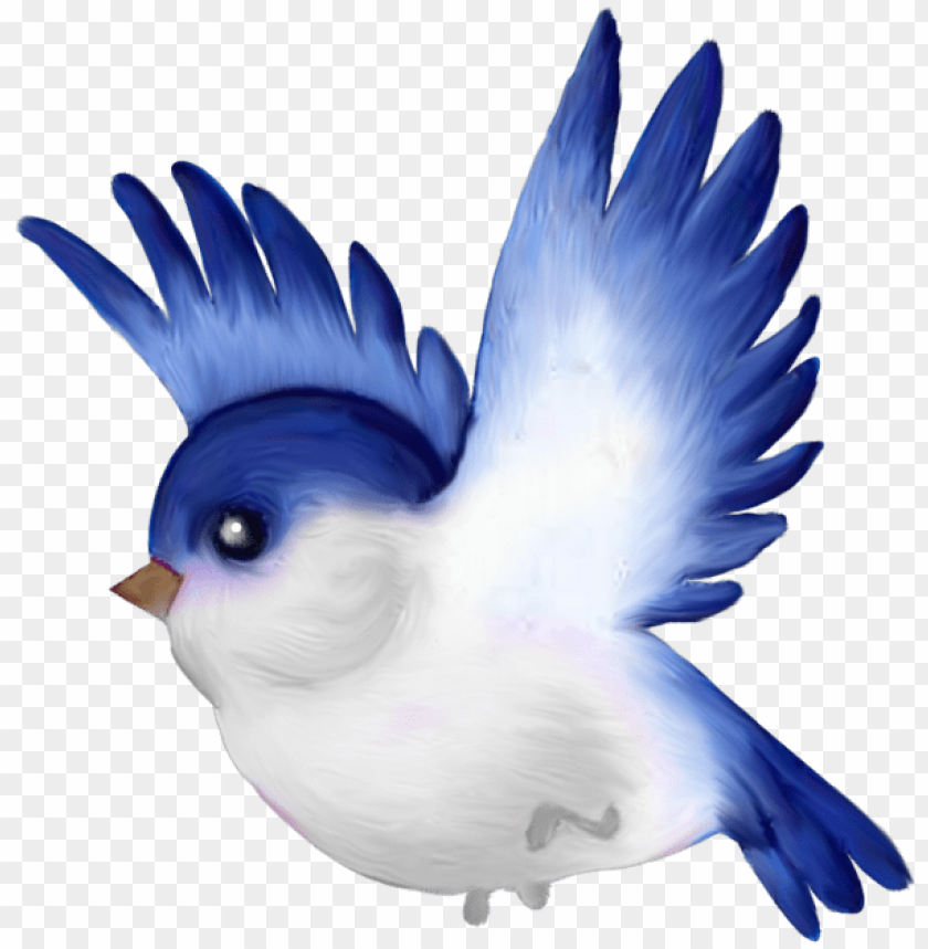 Free download | HD PNG blue feathered bird in flight PNG transparent ...