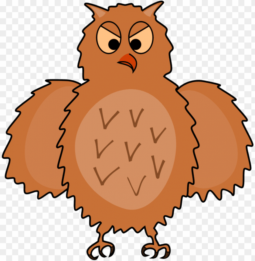 Free download | HD PNG bird cartoons front side view PNG transparent ...