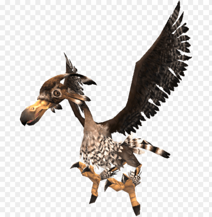 Free download | HD PNG bird monster PNG transparent with Clear ...