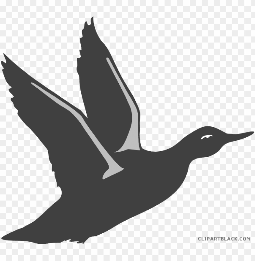 Free download | HD PNG bird taking off PNG transparent with Clear ...