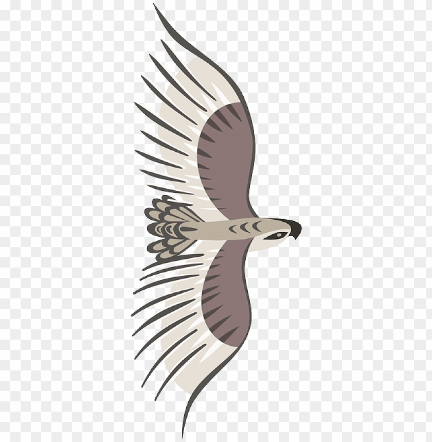 Free download | HD PNG bird top view PNG transparent with Clear ...